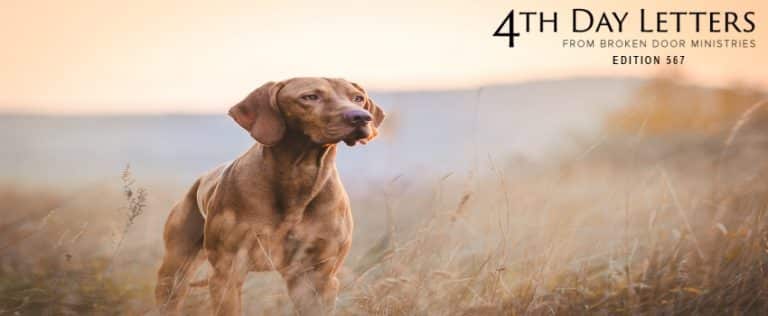 4th Day Letters - Broken Door Ministries